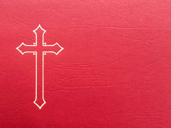 Catholic Mass Cards - Salesian Mass Cards